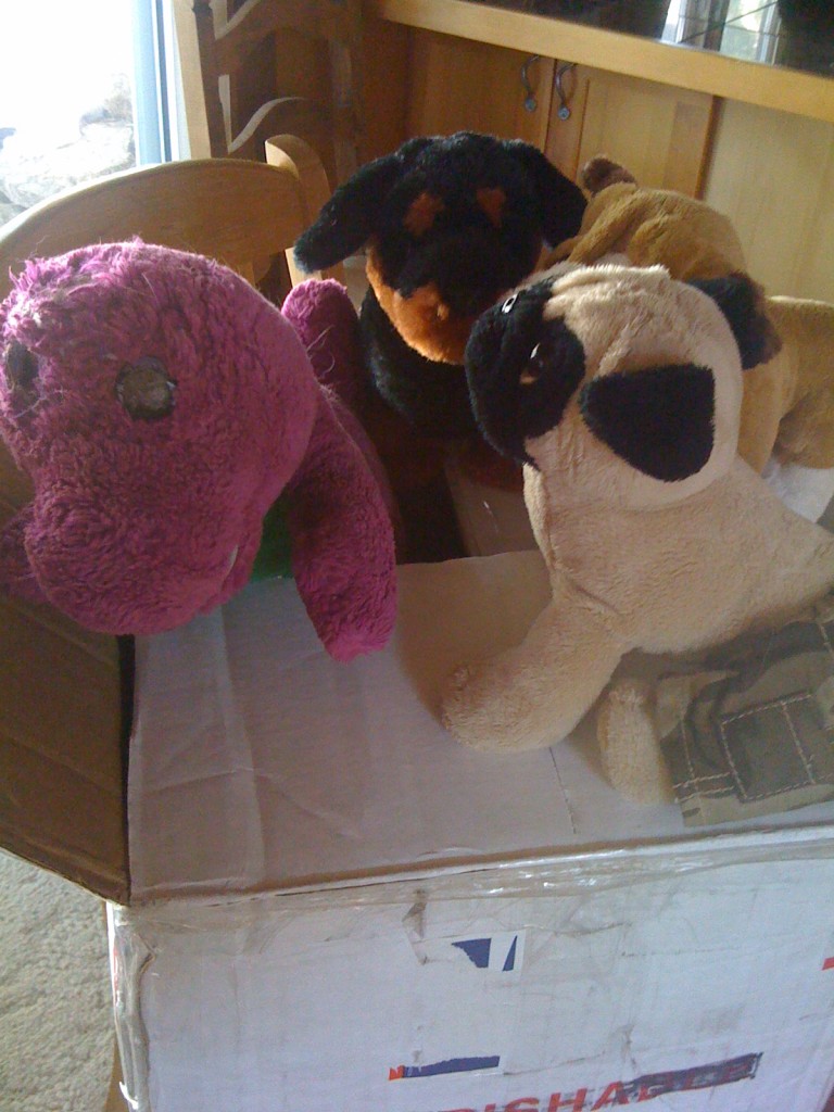 Buh-bye Barney! You stinker, you! – Old dog, new tricks